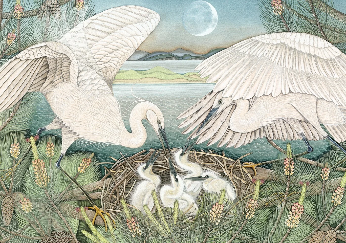 Poppy Melia Irish Artist