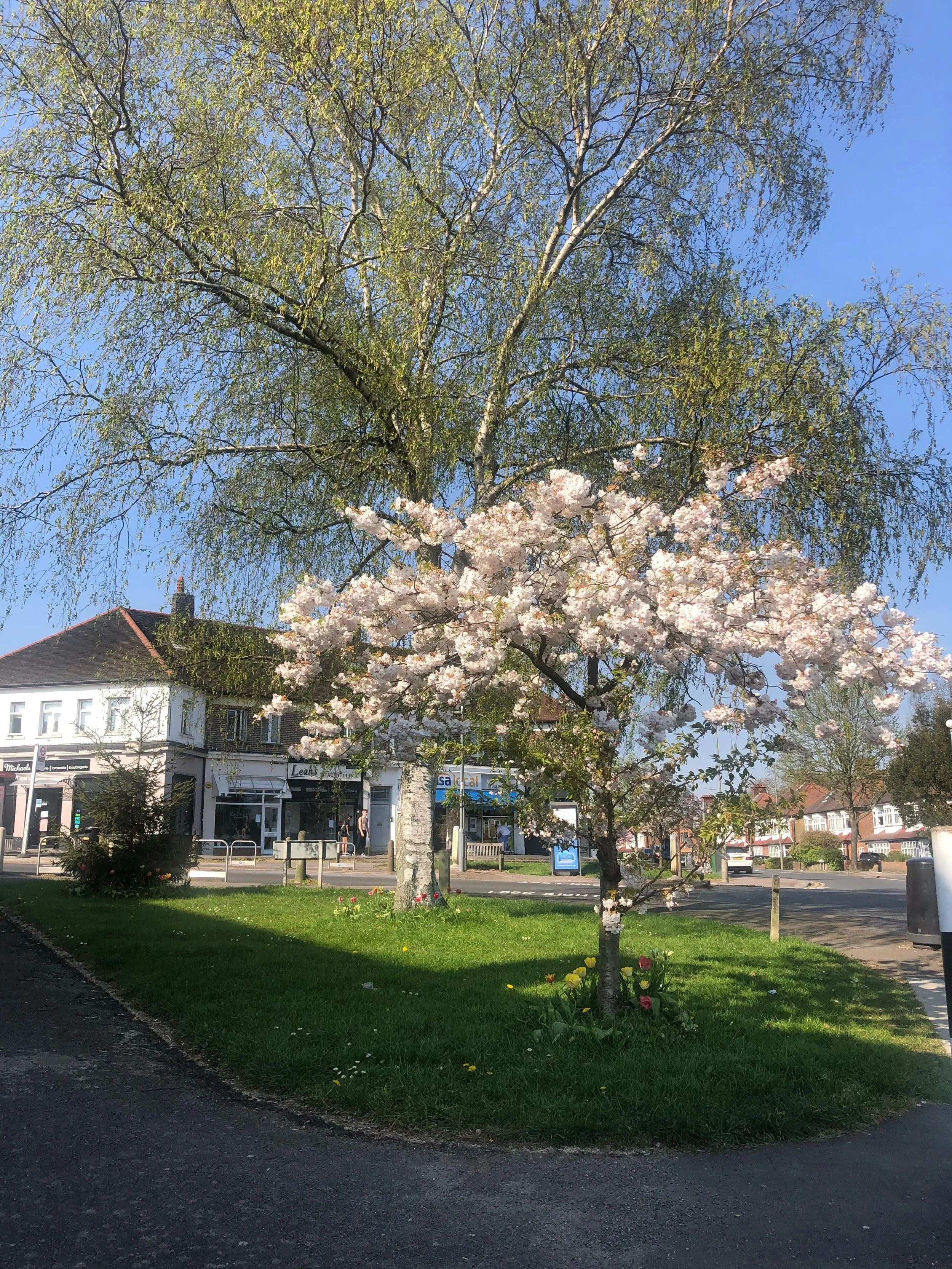 Woodside Park Garden Suburb Residents' Association