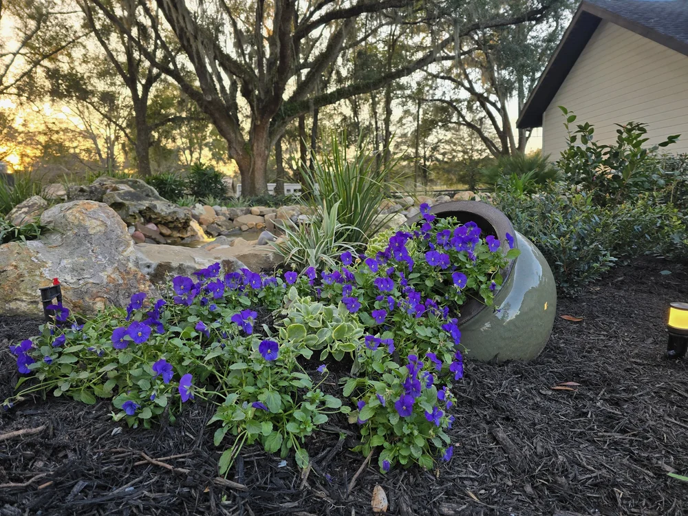 Bella Design Landscapes