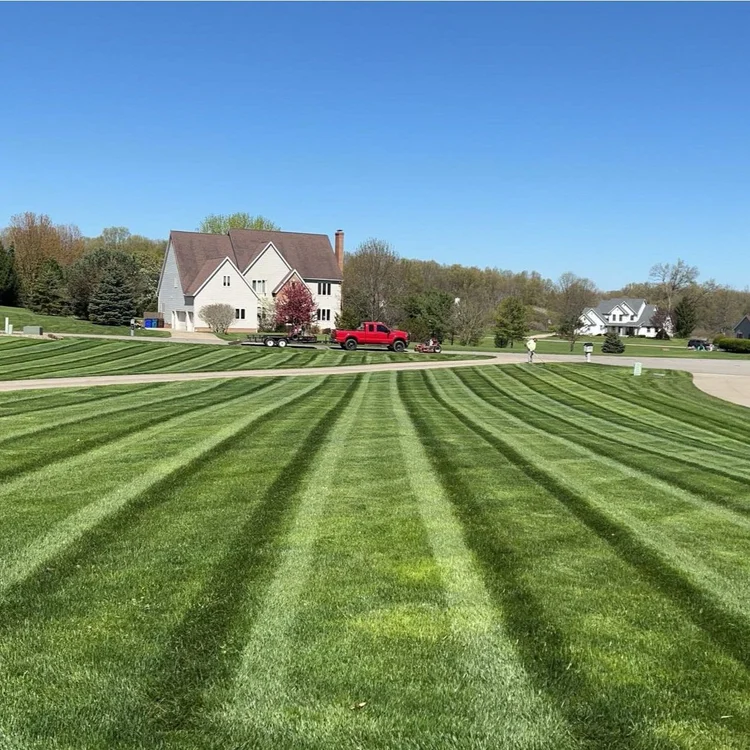 Yardworks Landscaping