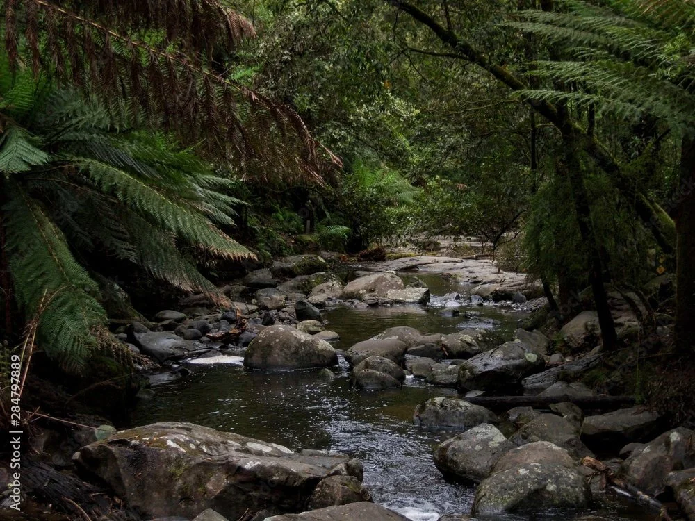 Sightseeing | Explore Otway Sights—Plan Your Visit — Forrest River Valley