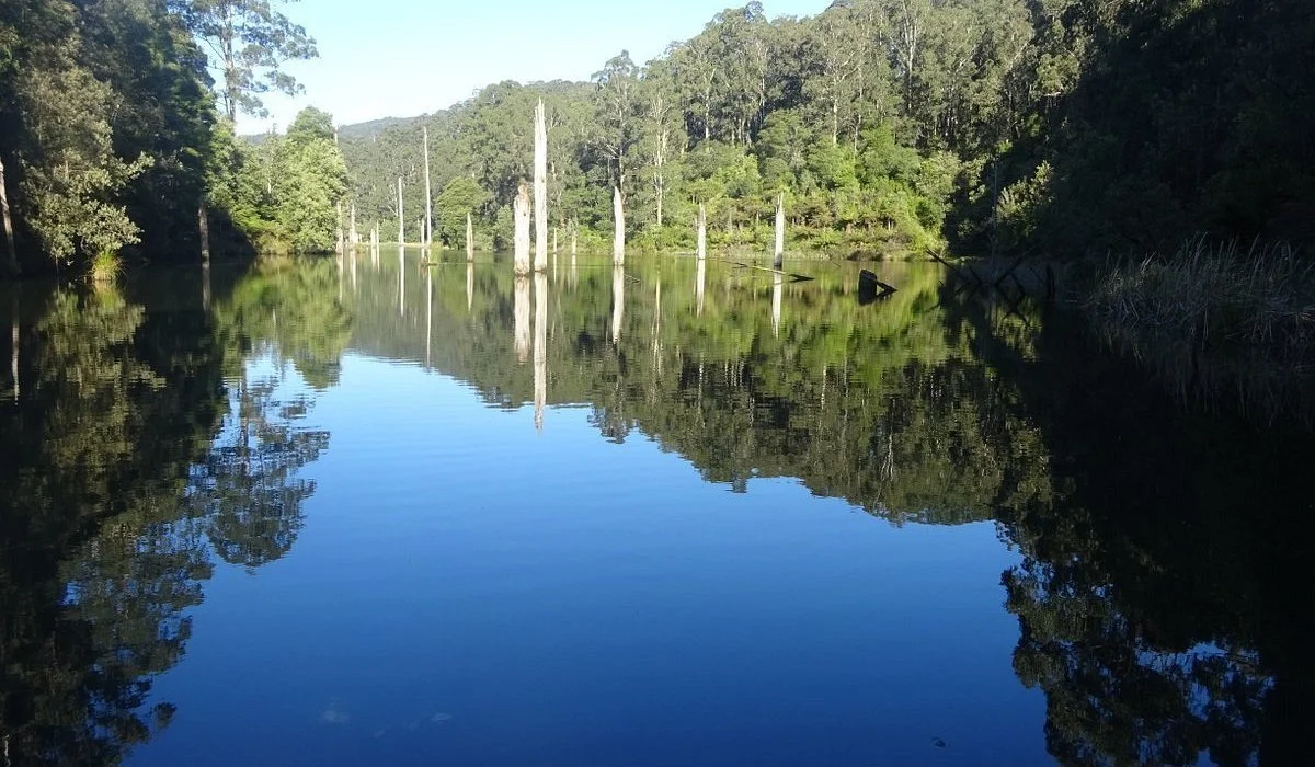 Sightseeing | Explore Otway Sights—Plan Your Visit — Forrest River Valley