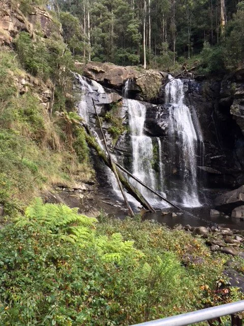 Sightseeing | Explore Otway Sights—Plan Your Visit — Forrest River Valley