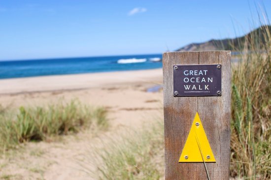 Sightseeing | Explore Otway Sights—Plan Your Visit — Forrest River Valley