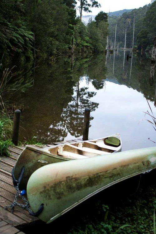 Sightseeing | Explore Otway Sights—Plan Your Visit — Forrest River Valley