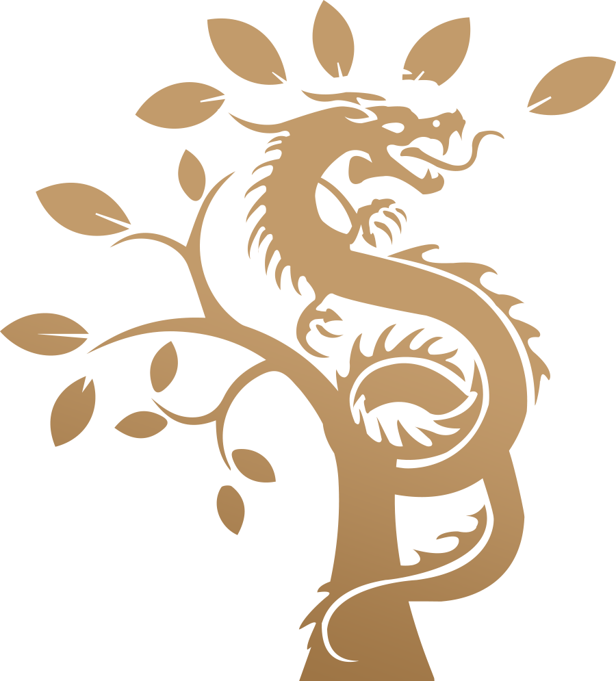 2025 Festival Booklet and Program — Dragon Dreaming