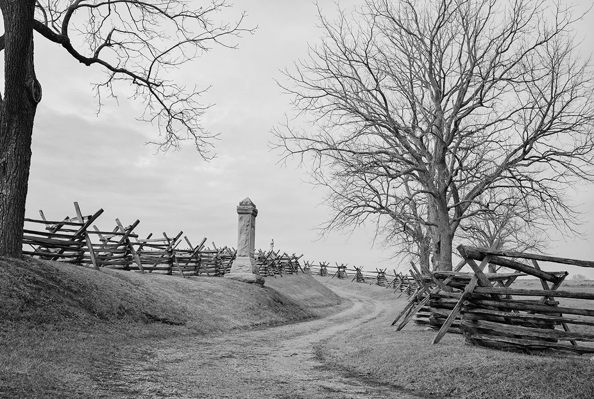 Pamplemousse Magazine