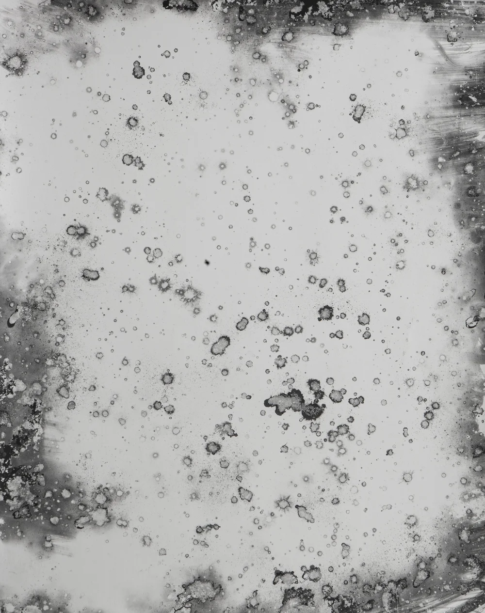 Pamplemousse Magazine