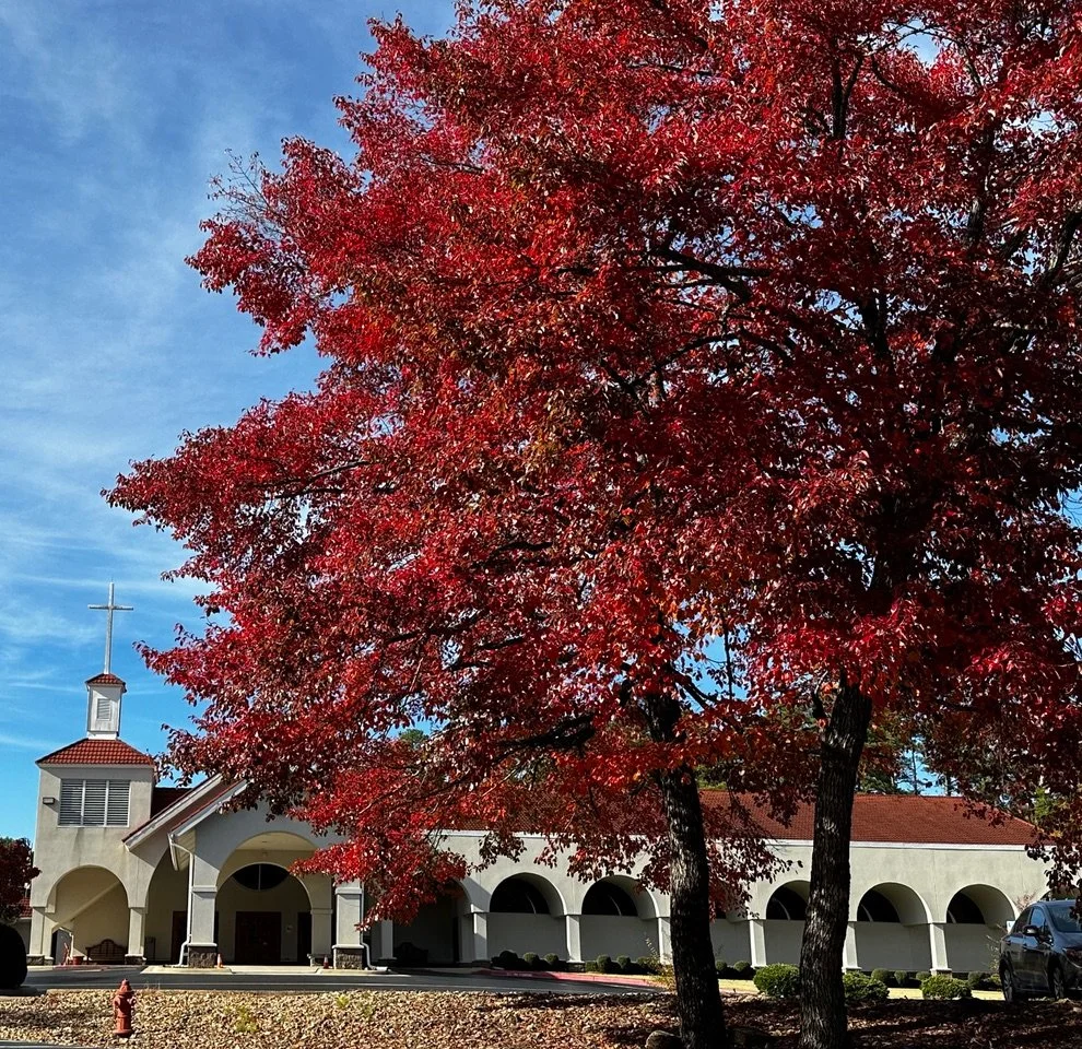 Pastoral Council — Sacred Heart