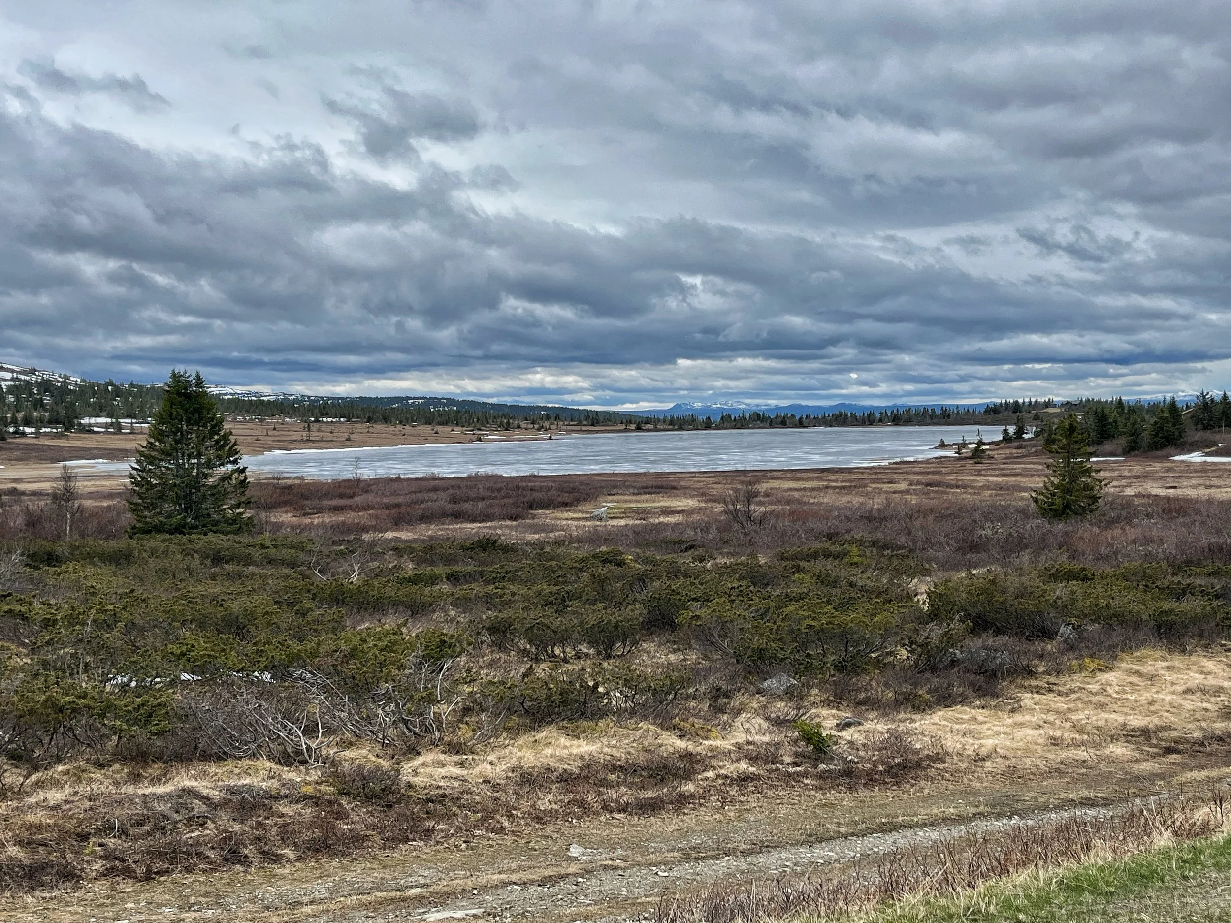 Veiåpning, beiteslipp og fiske. Oppdatert 5. juni — Øyer Fjellstyre