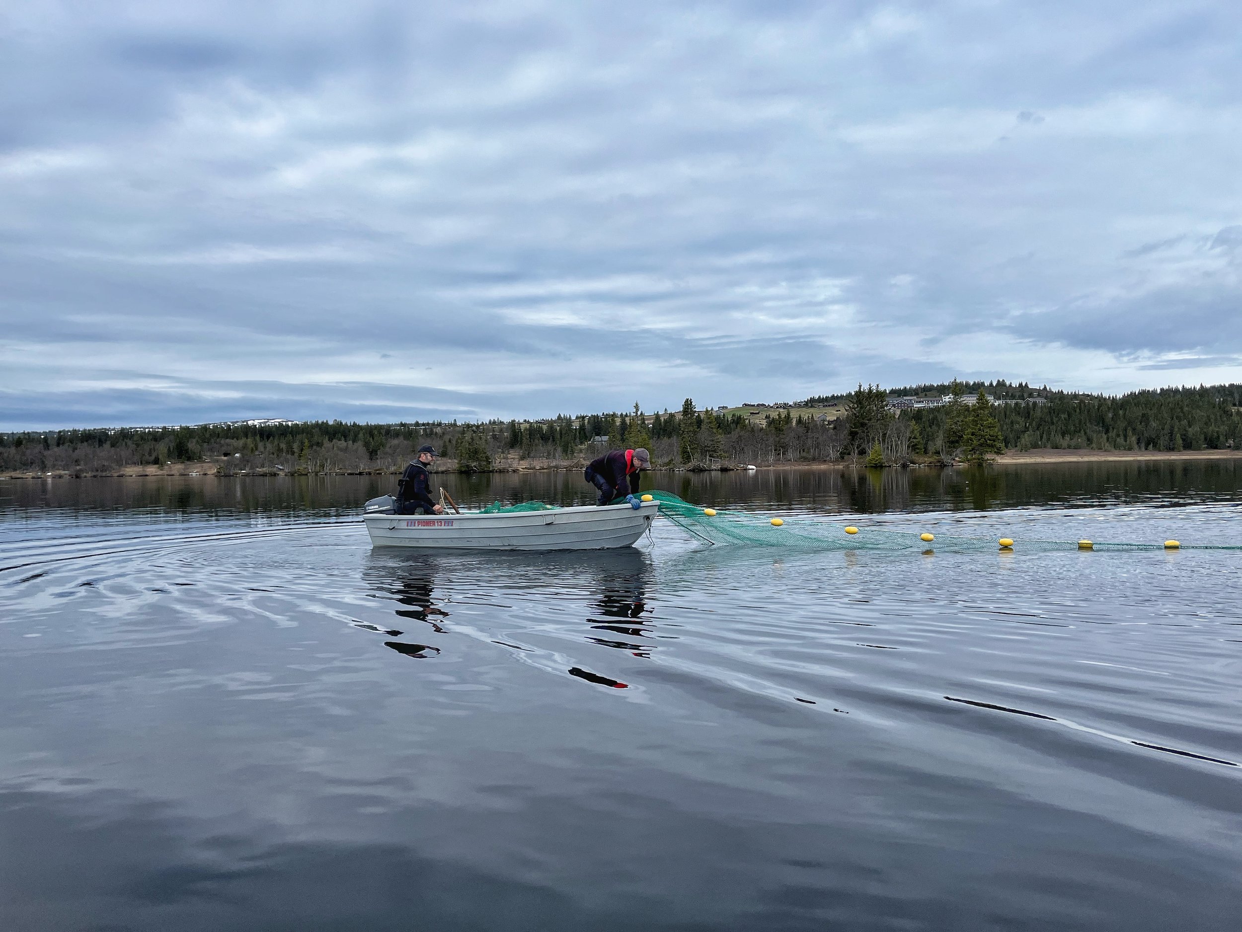 Veiåpning, beiteslipp og fiske. Oppdatert 5. juni — Øyer Fjellstyre