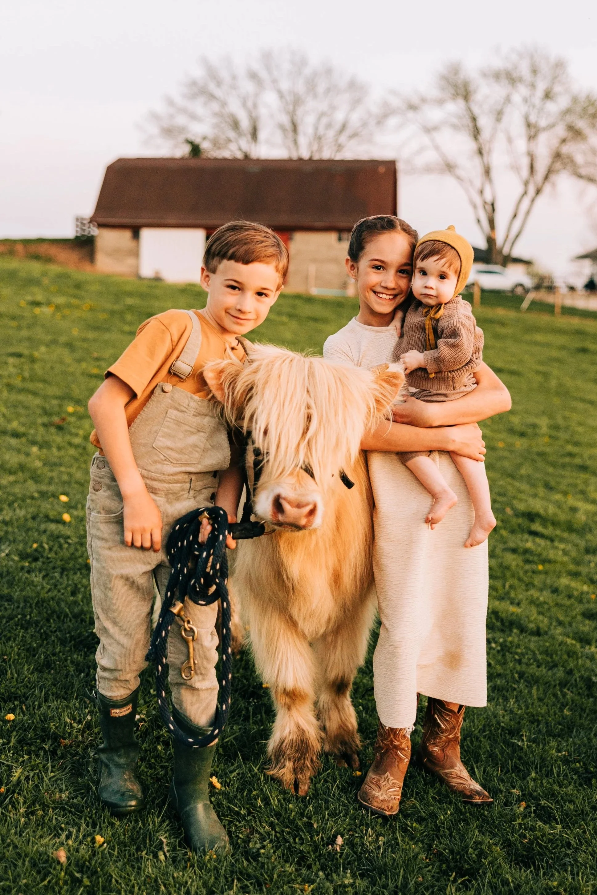 Oliver & Grace Farms | Discover Highland Cattle & Peonies Today