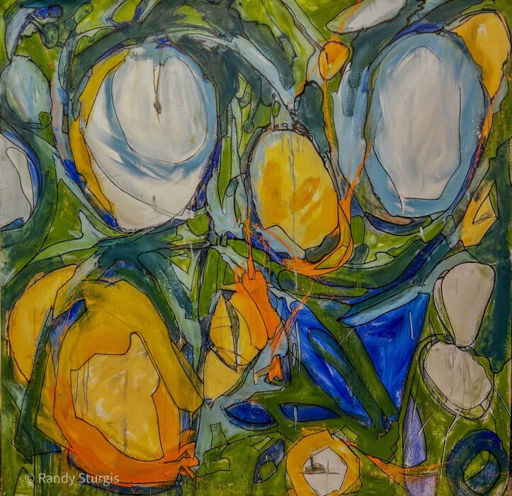 Swimming In Sandys Pond — Randy Sturgis