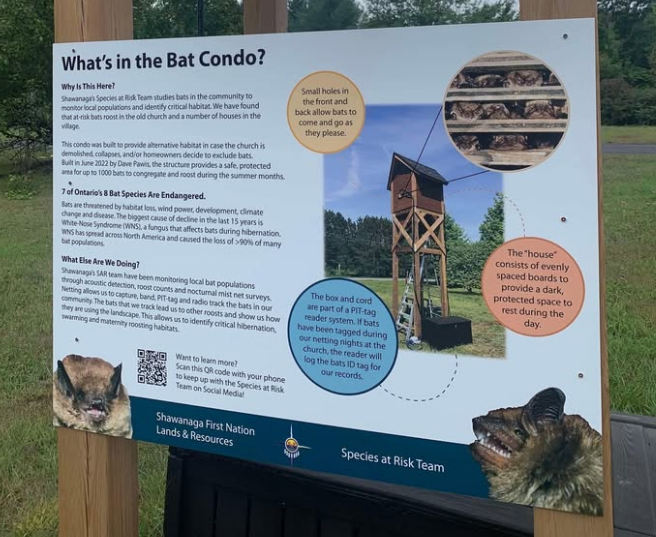 Shawanaga First Nation Species-at-Risk