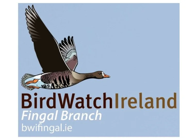 Resources — Dublin Birding