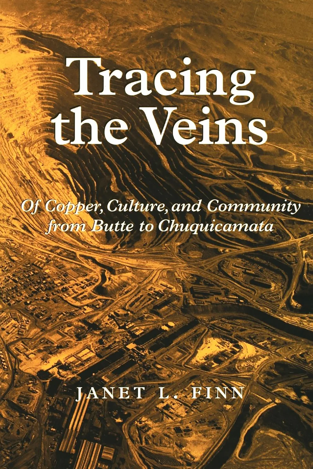 Tracing the Veins — Janet L. Finn