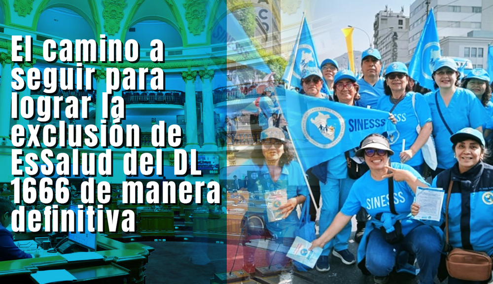 SINESSS Sindicato Nacional de Enfermeras del Seguro Social de Salud