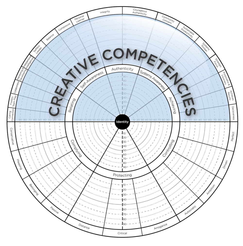 A first look at your Leadership Circle Profile results — Anton ...