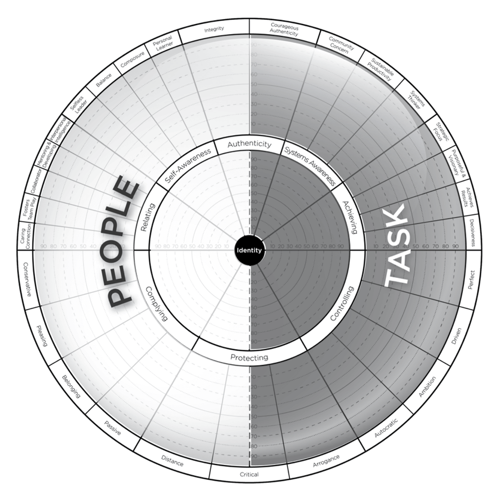 A first look at your Leadership Circle Profile results — Anton ...