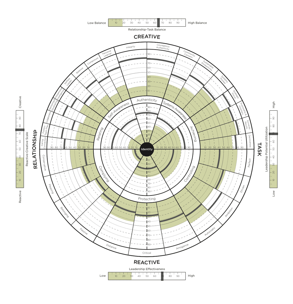 A first look at your Leadership Circle Profile results — Anton ...