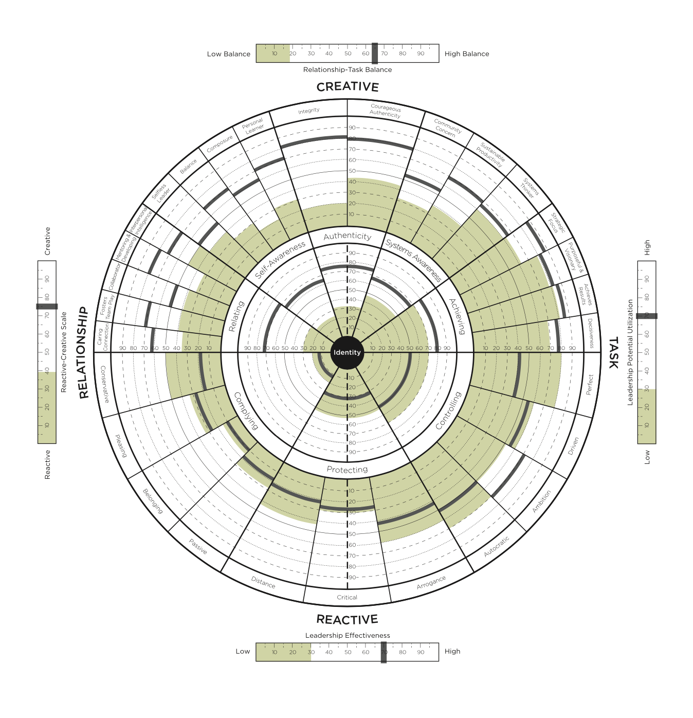 How to Read Your Leadership Circle Profile Results | First Look