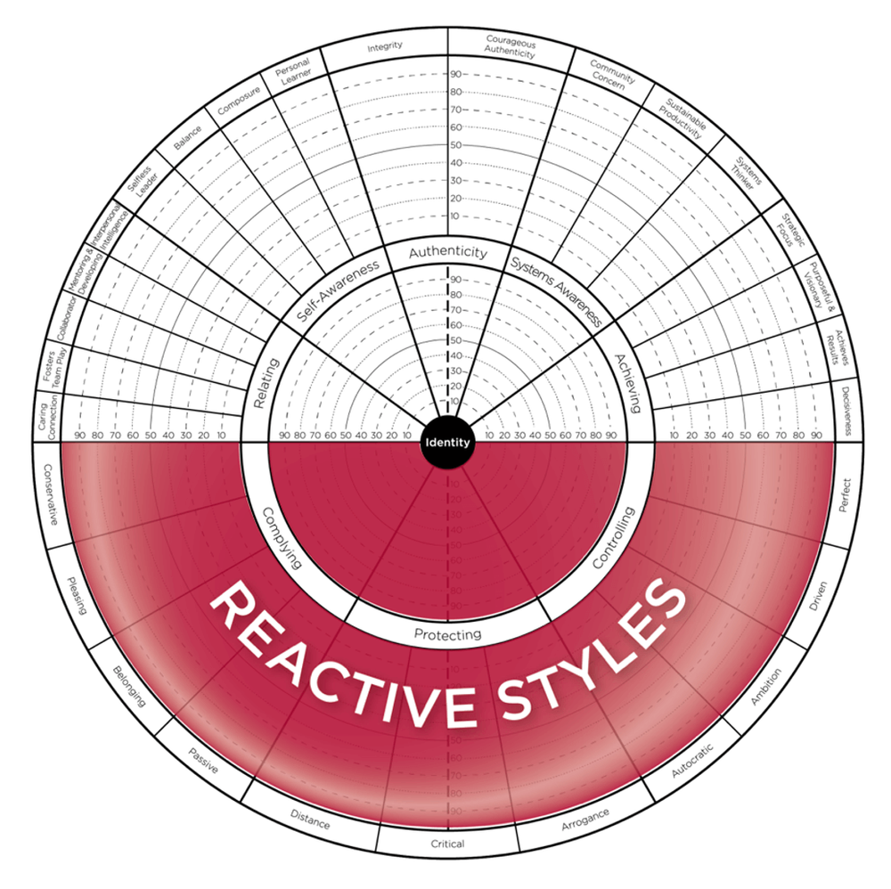 A first look at your Leadership Circle Profile results — Anton ...
