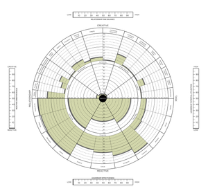 A first look at your Leadership Circle Profile results — Anton ...