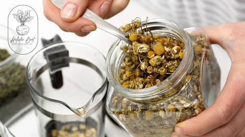 The Ultimate Guide to Steeping Herbal Teas — Holistic Beet
