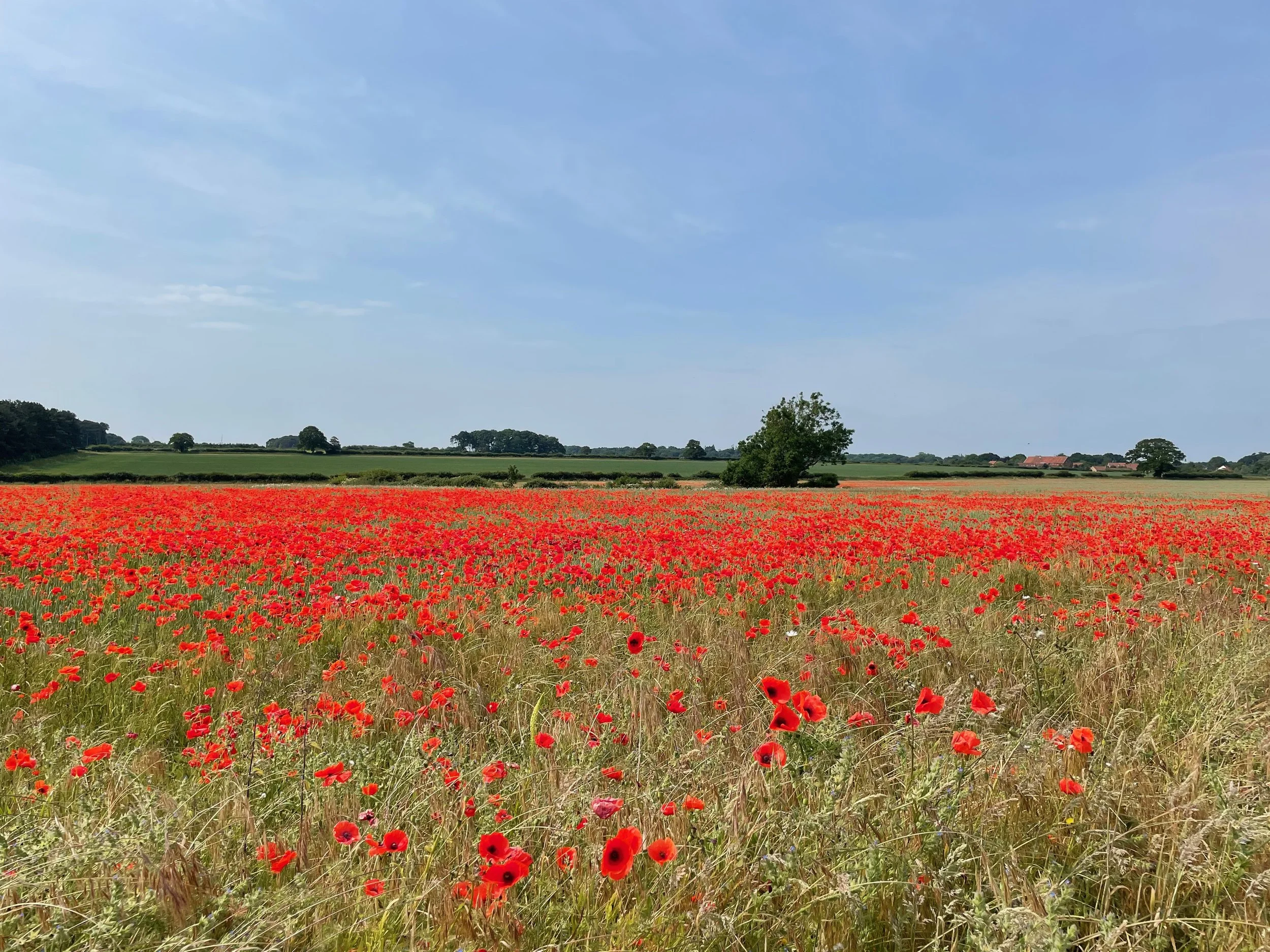 STANHOE VILLAGE, NORTH NORFOLK, UK