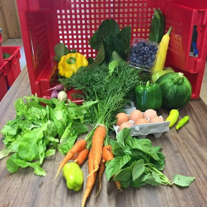 Products | Community Supported Agriculture | CSA Subscriptions — Stone ...