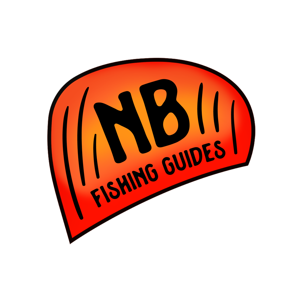 Striped Bass Fishing New Brunswick | Best NB Striper Guides — New ...