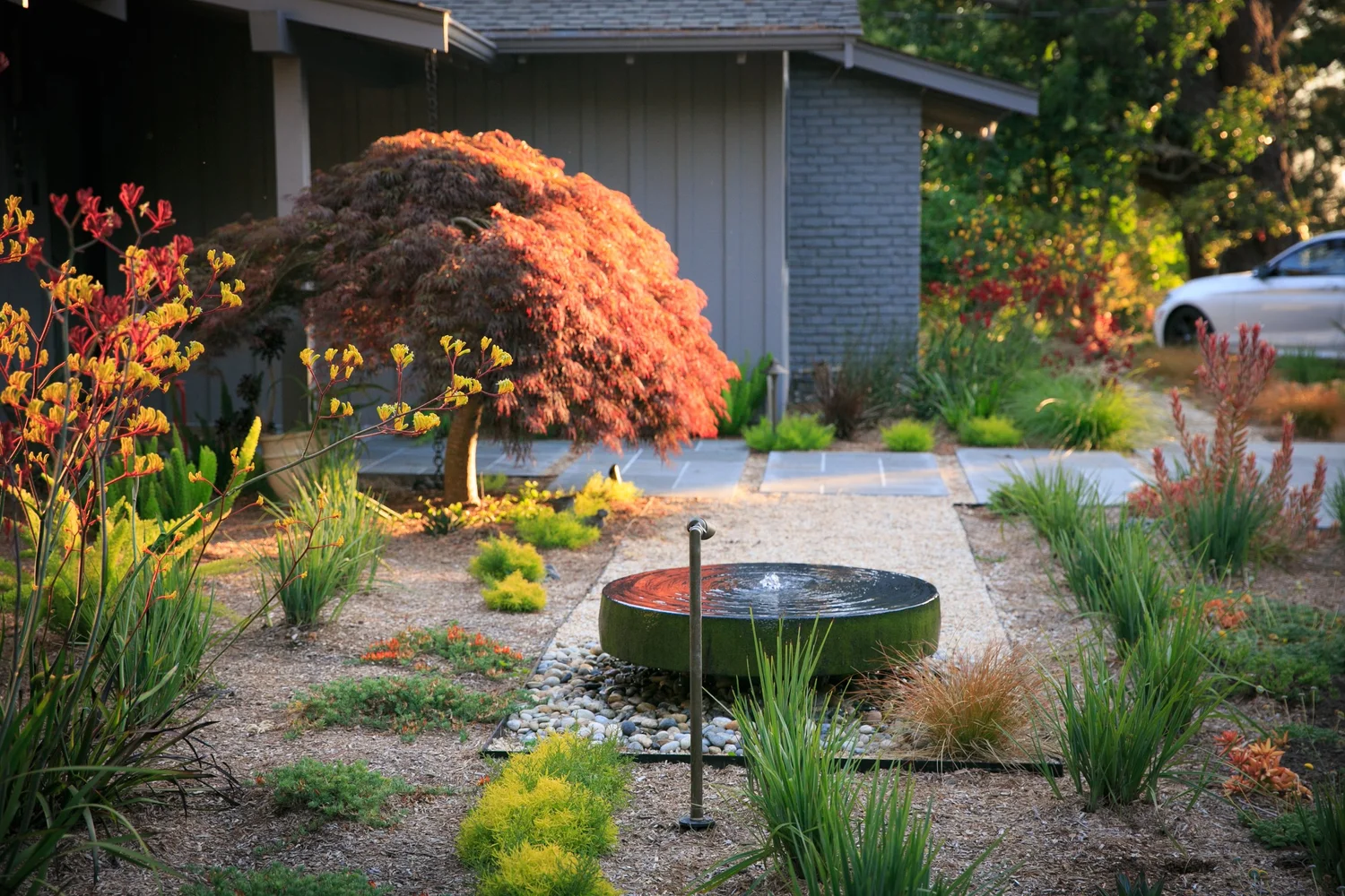 Project Showcase | Envision Landscape Architects — Envision Landscape ...