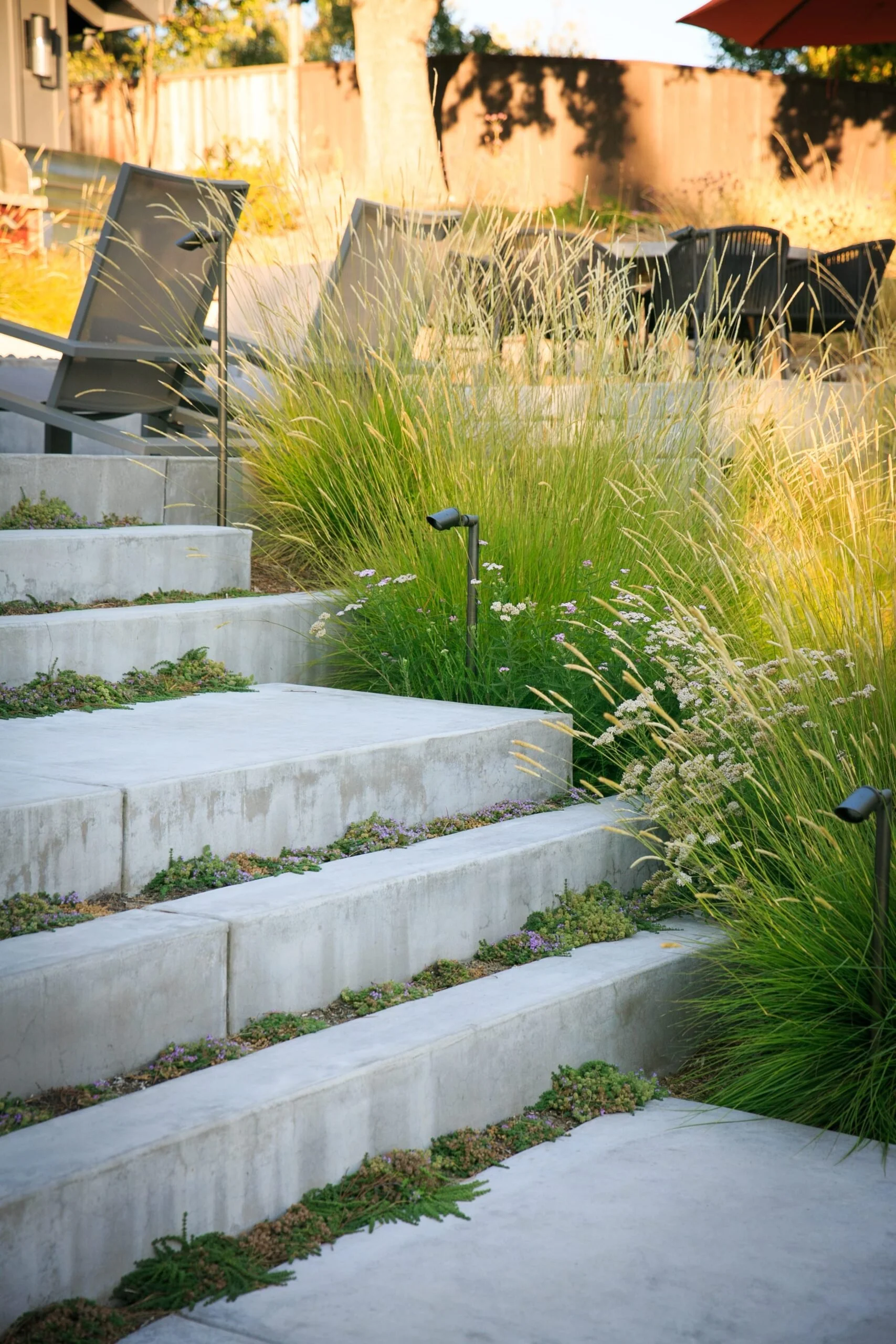 Project Showcase | Envision Landscape Architects — Envision Landscape ...