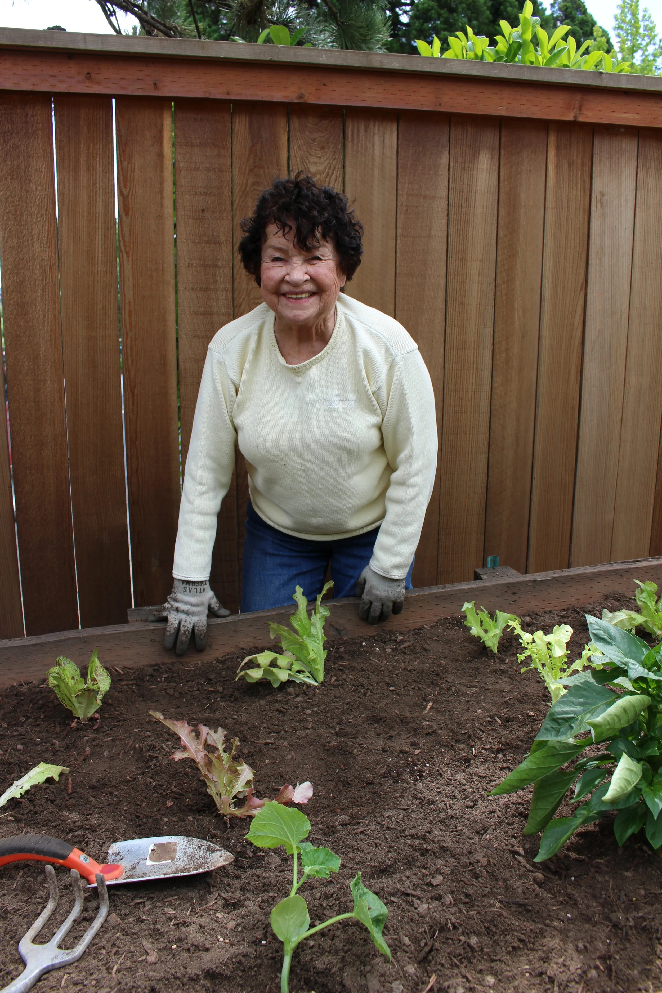 Mission | Empower Your Community — Community Action