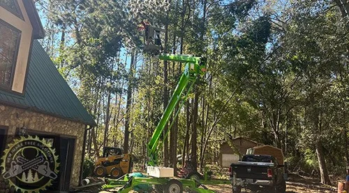 My Tree is Leaning - What Do I Do? — New Image Tree Solutions