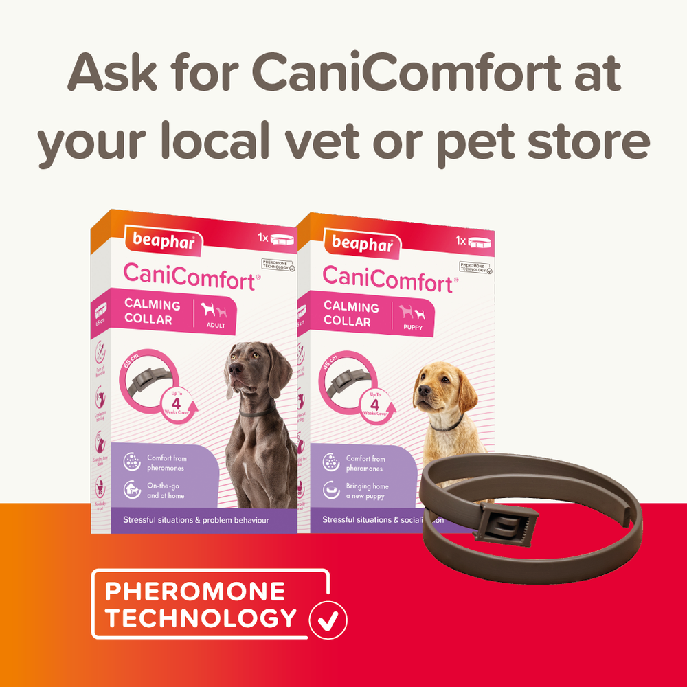 GLA Pharma | Discover Animal Health Solutions