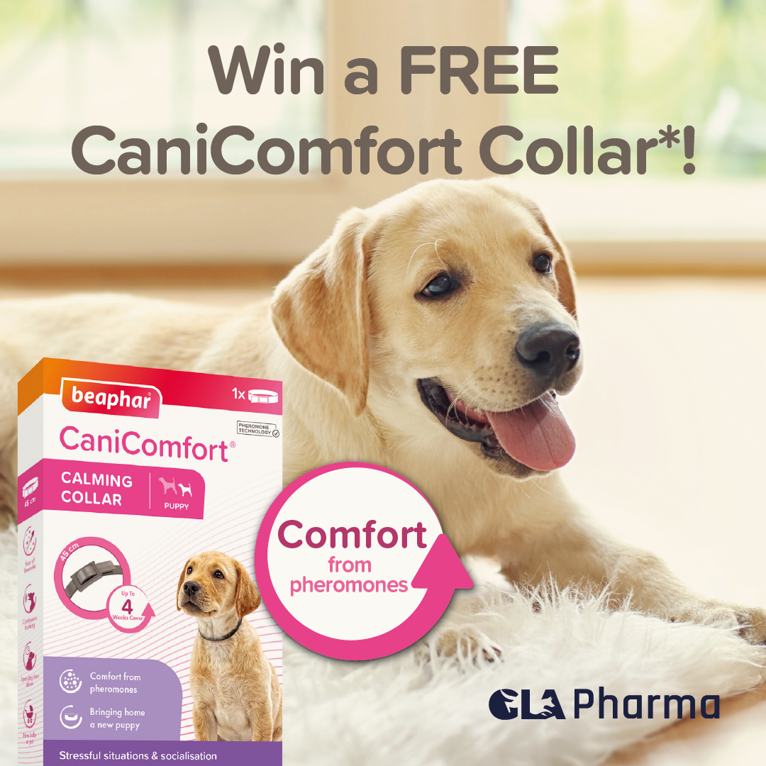 GLA Pharma | Discover Animal Health Solutions