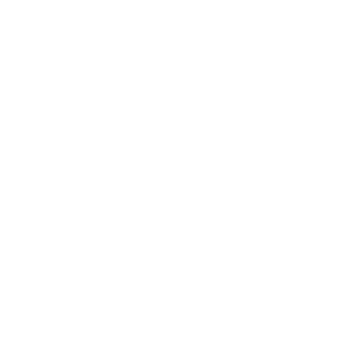 The Wellness Club Collective