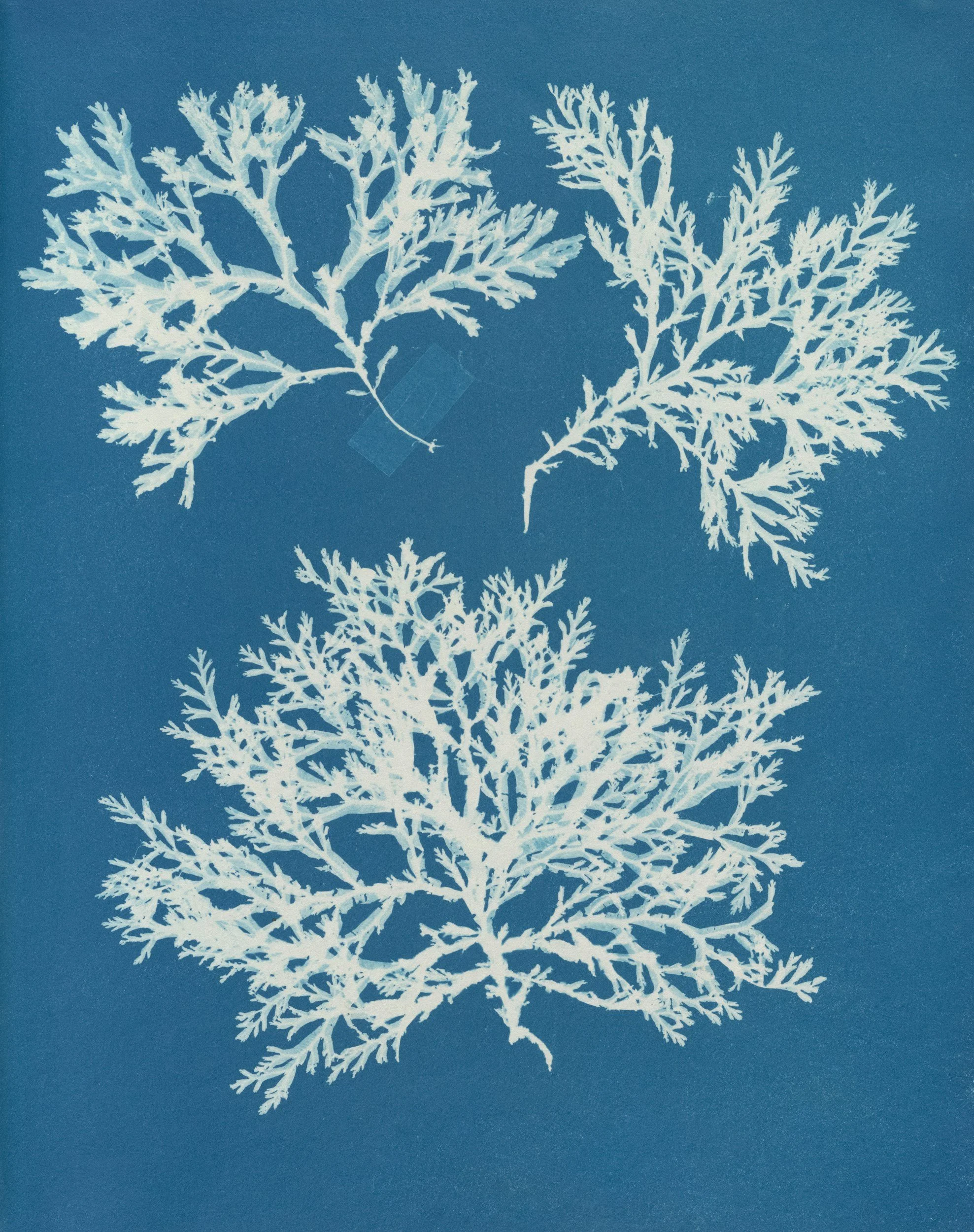 Blueprints - Spring Summer 2026 Sustainable Clothing Collection — An ...