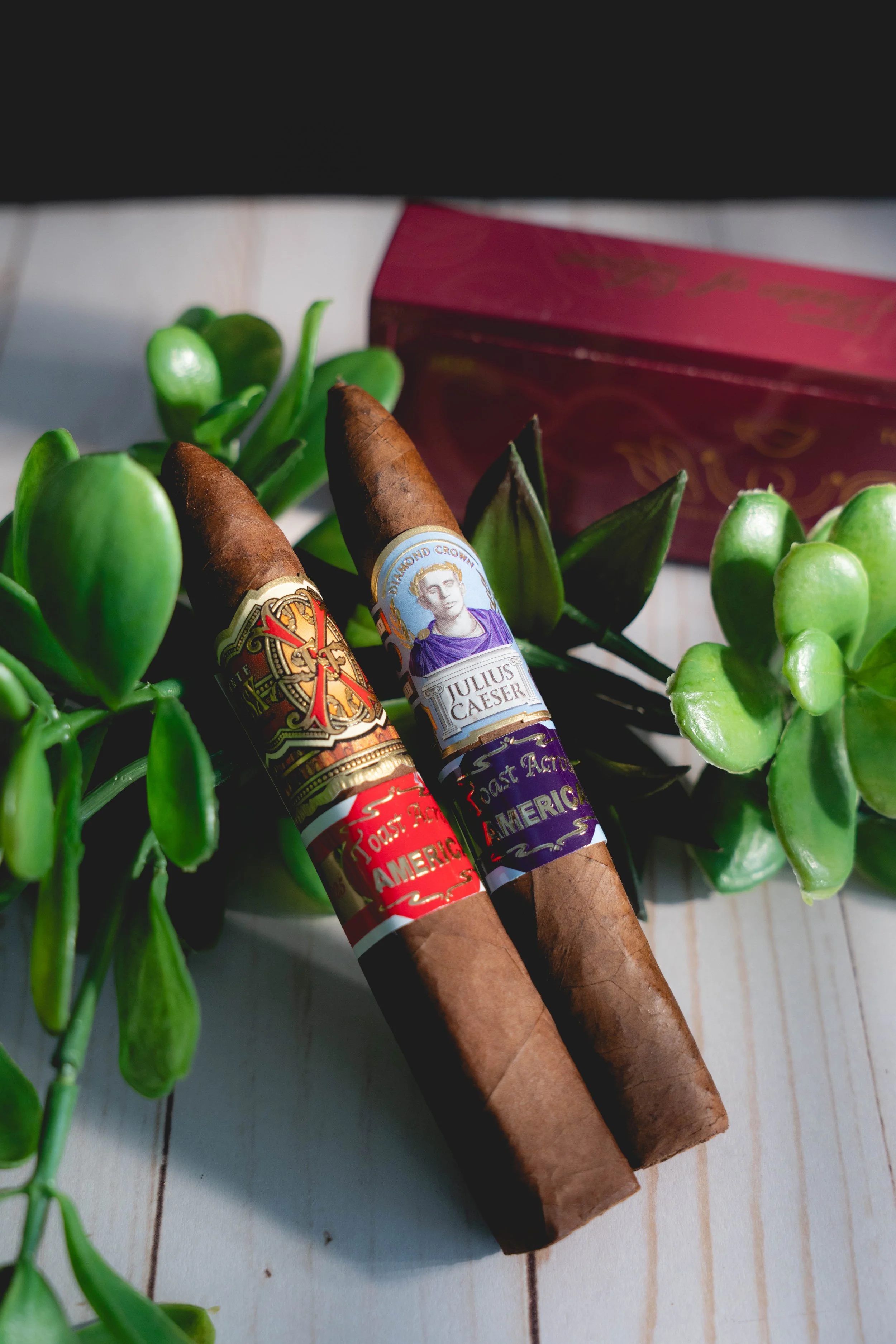 Toast Across America — Nolan's Cigar Bar