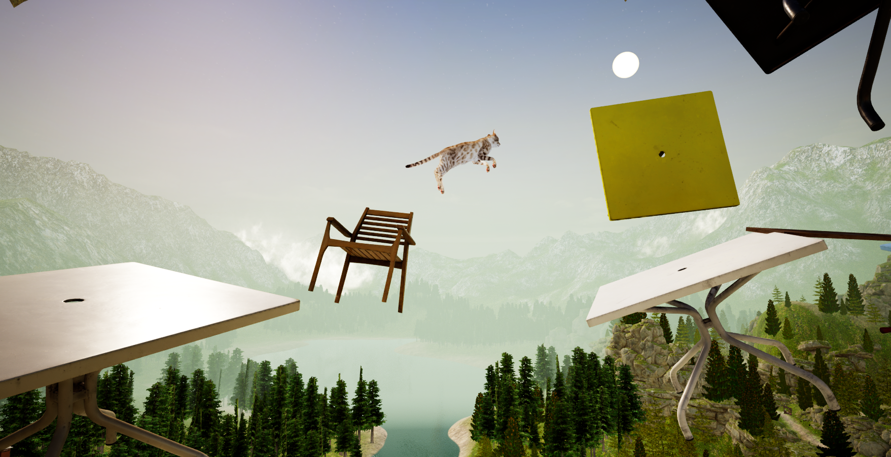 Curiosity | The Climbing Cat Game 🐈 | Jump In & Explore