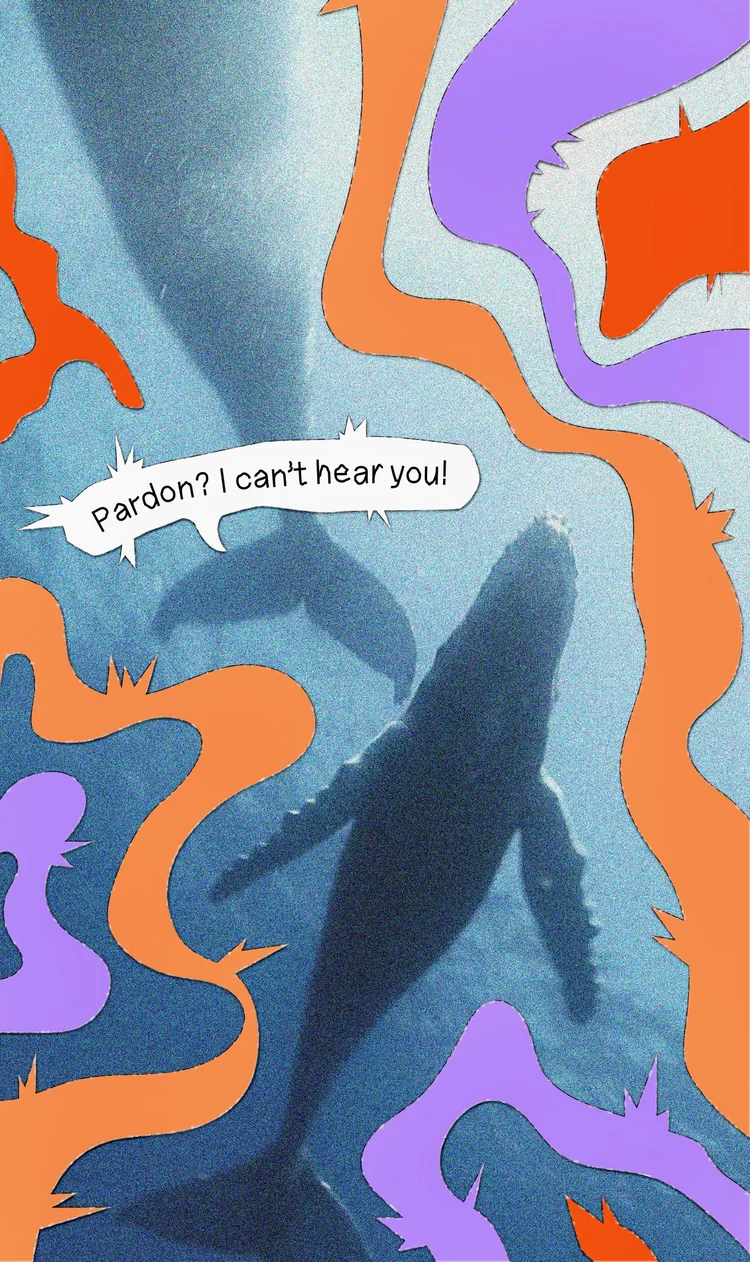 Natural History | Protecting Evolutionarily Distinct & Globally ...