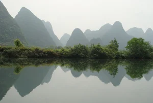 Species Spotlight: Chinese Giant Salamander — On the Edge