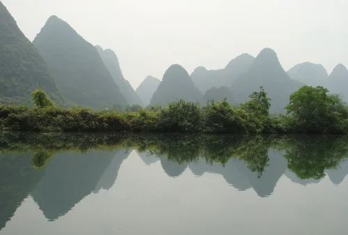 Species Spotlight: Chinese Giant Salamander — On the Edge