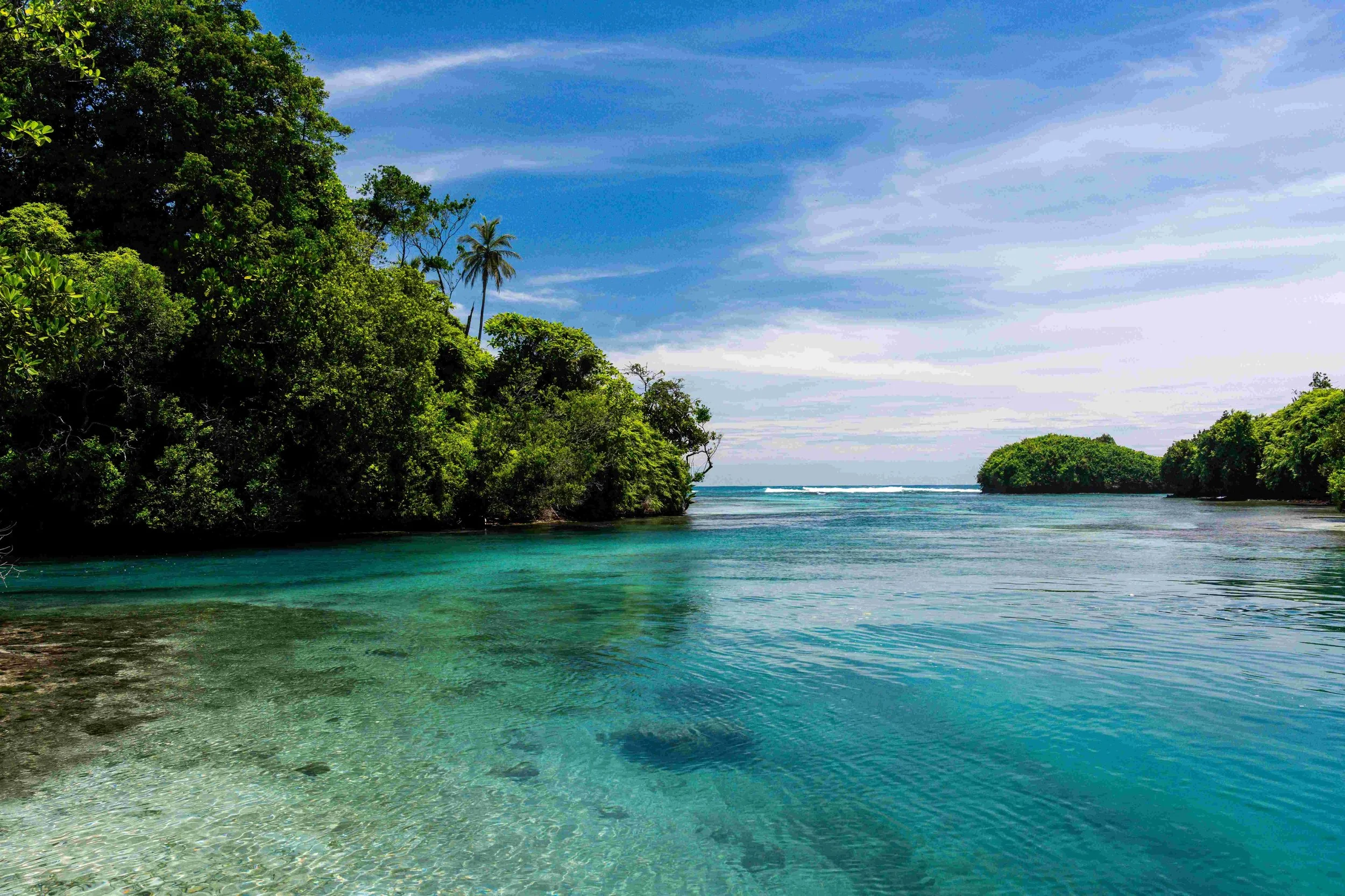 Species Spotlight: Pygmy Three-toed Sloth — On the Edge