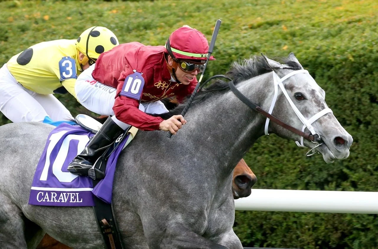 Caravel Profile — Resolute Racing