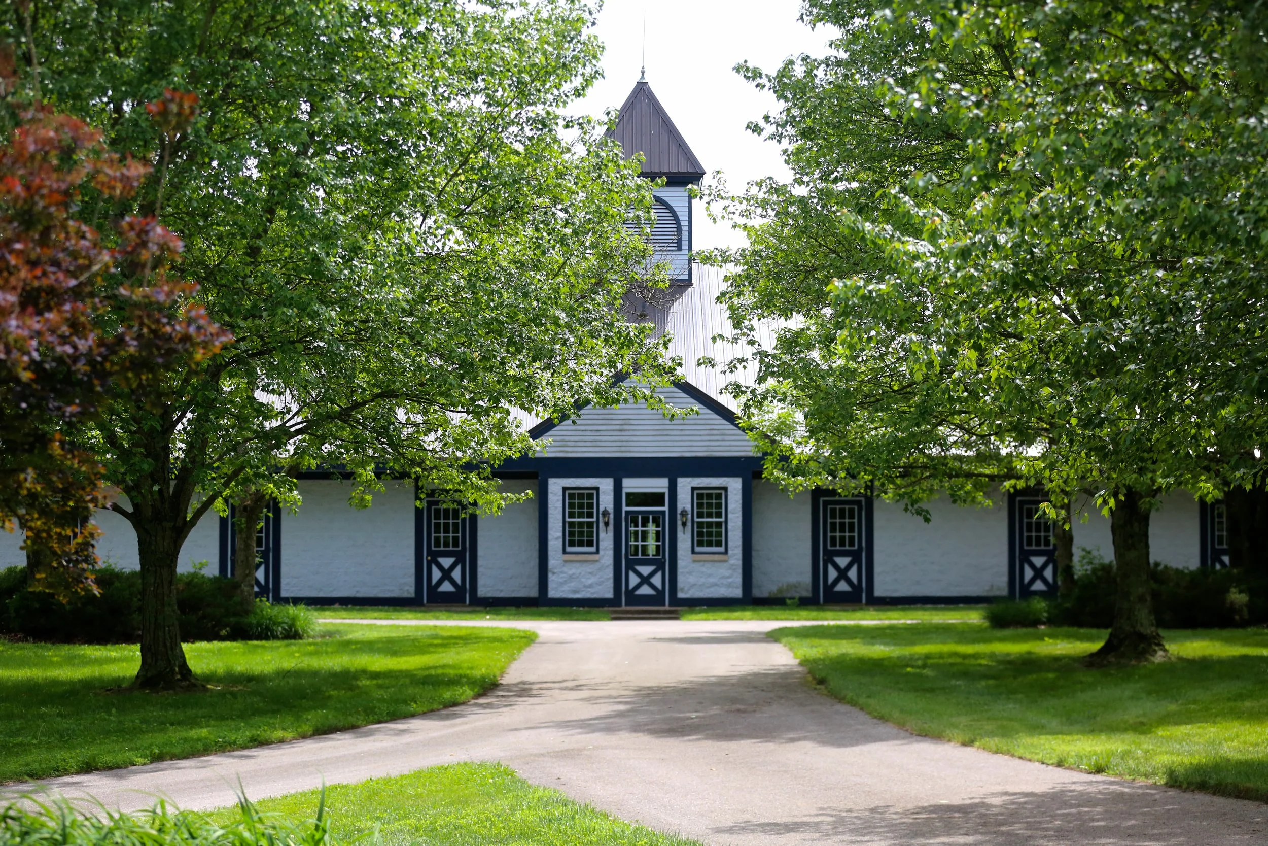 Horses — Resolute Racing