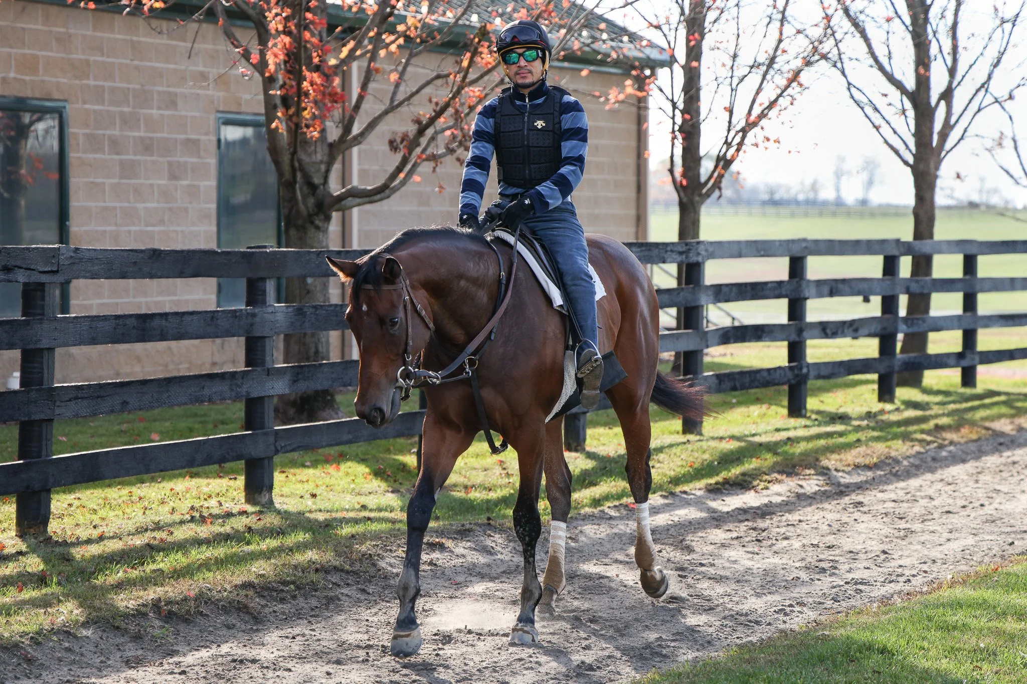Lady Scuderia Profile — Resolute Racing