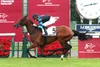 Goliath Back in the Winning Groove at Chantilly — Resolute Racing