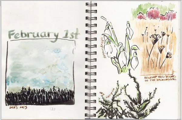 Illustrated Journals — Patricia Bentham Illustration